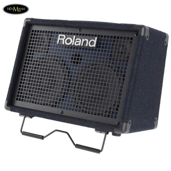 Amplifier Combo Roland KC220 - Loa Trống - Nhạc Cụ